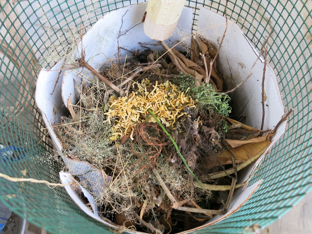 Easy urban composting solution: No garden? No problem! – Ecologue